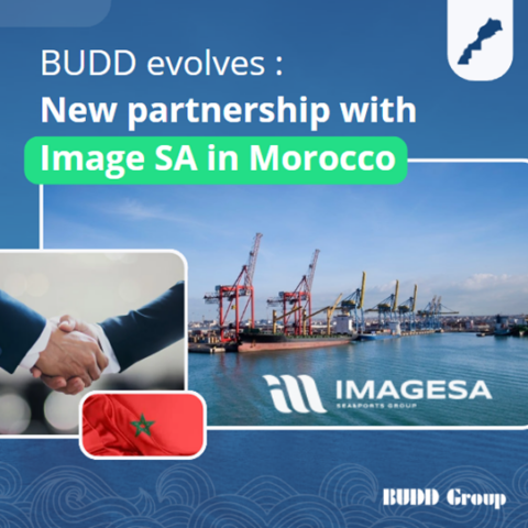 BUDD Evolves: New partnership with Image SA in Morocco - BUDD Group